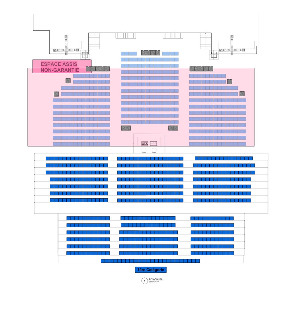 Camille Lellouche – Confluence – Salle de spectacle